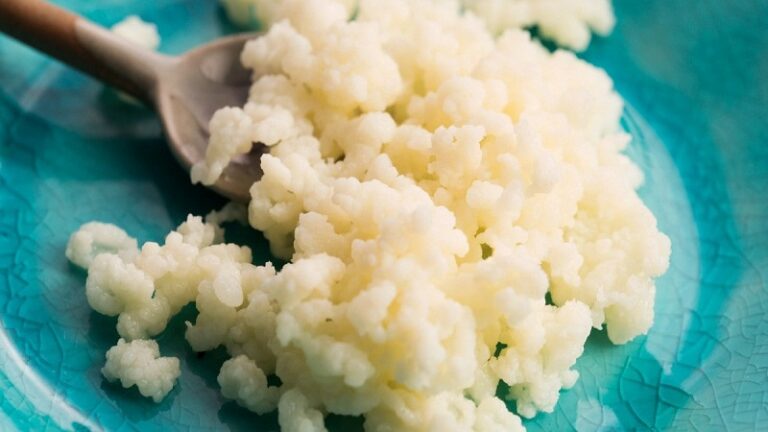 Búlgaros De Agua: 9 Beneficios Y Cómo Consumirlos - Benefimundo