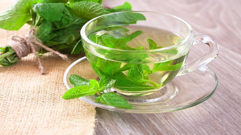 Menta En La Piel: 7 Beneficios Y Usos - Benefimundo