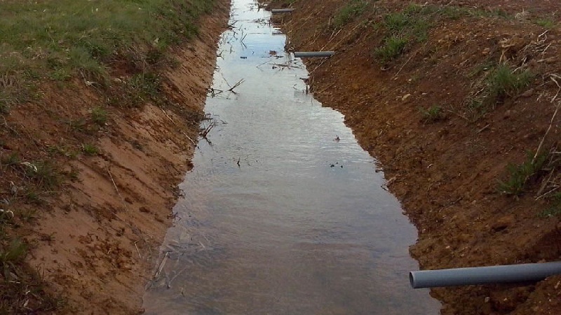 Drenaje: 7 Beneficios En Salud Y Agricultura - Benefimundo