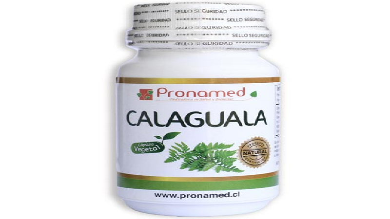 Calaguala: 5 Beneficios Dermatológicos - Benefimundo