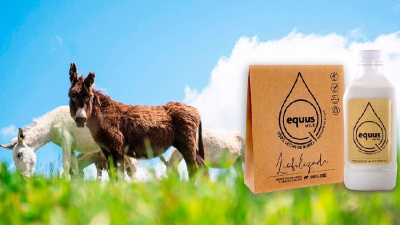 Leche De Burra: 7 Beneficios Y Usos - Benefimundo
